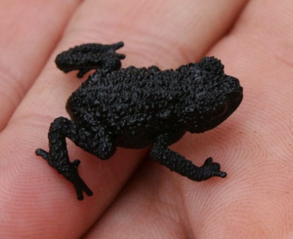 Mount Roraima, Venezuela - Most Beautiful Spots